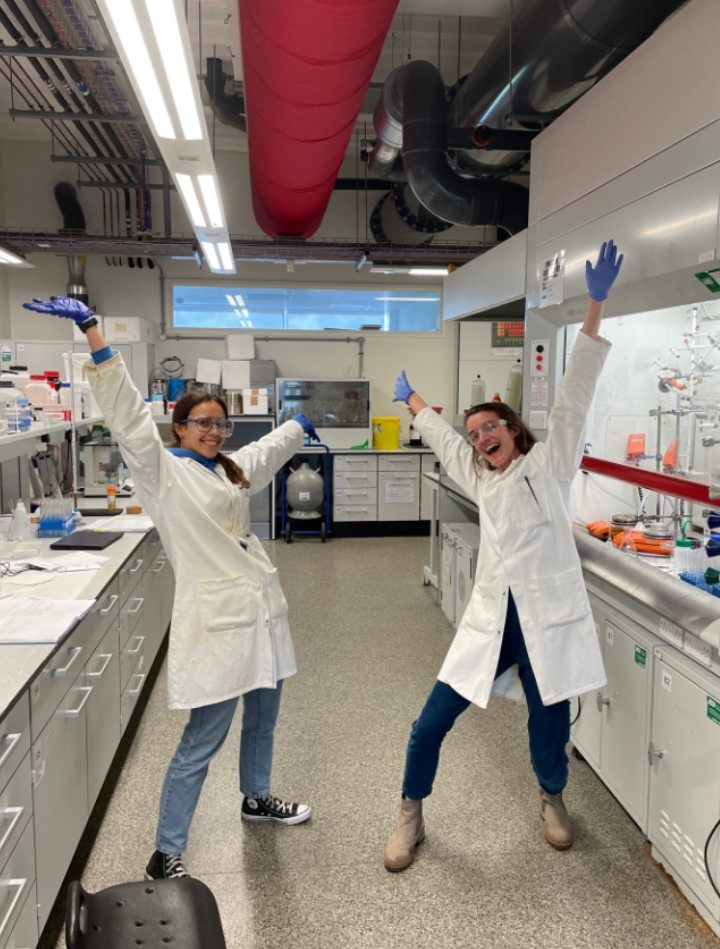 My experience as a Laidlaw Scholar in the Chemistry Department