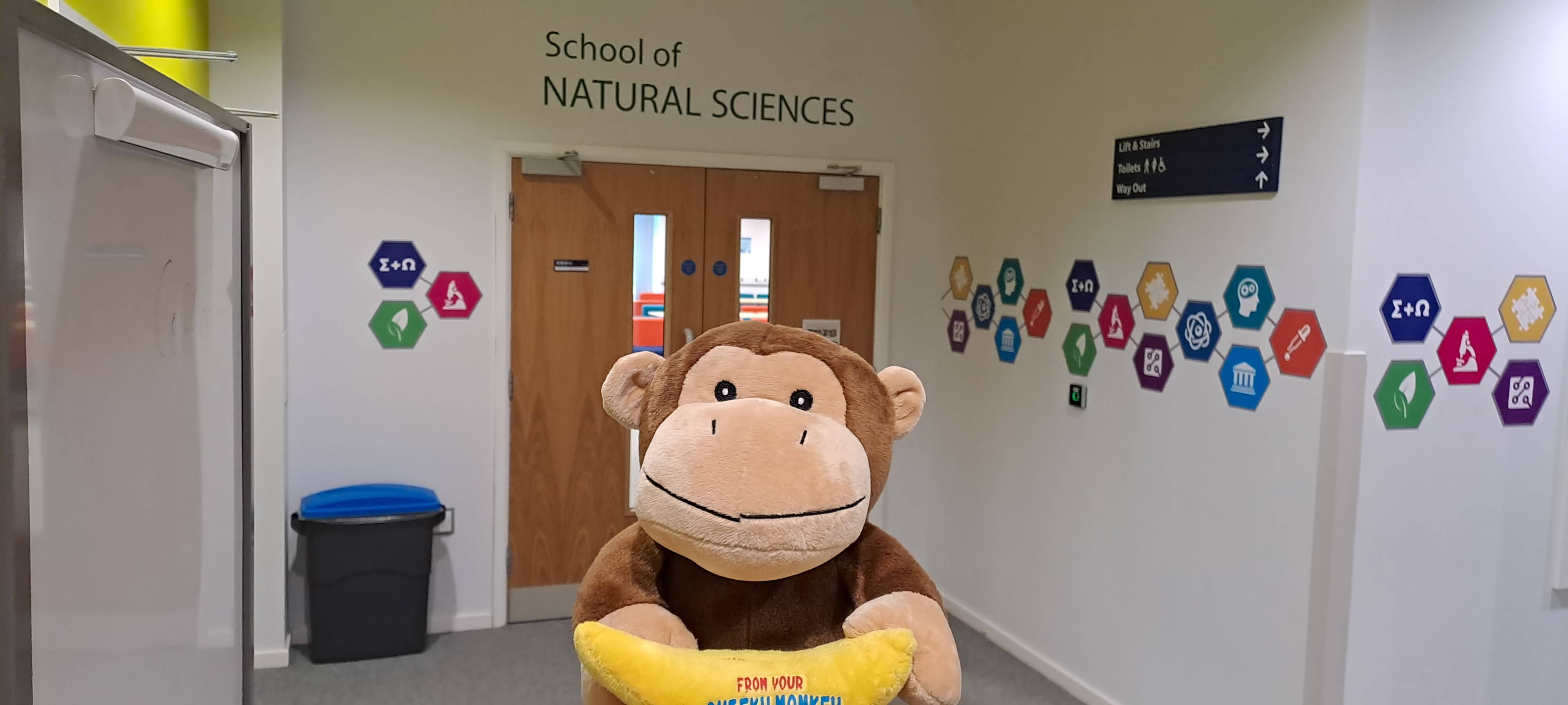 Natural Sciences at York in 16 pictures - Student Voices