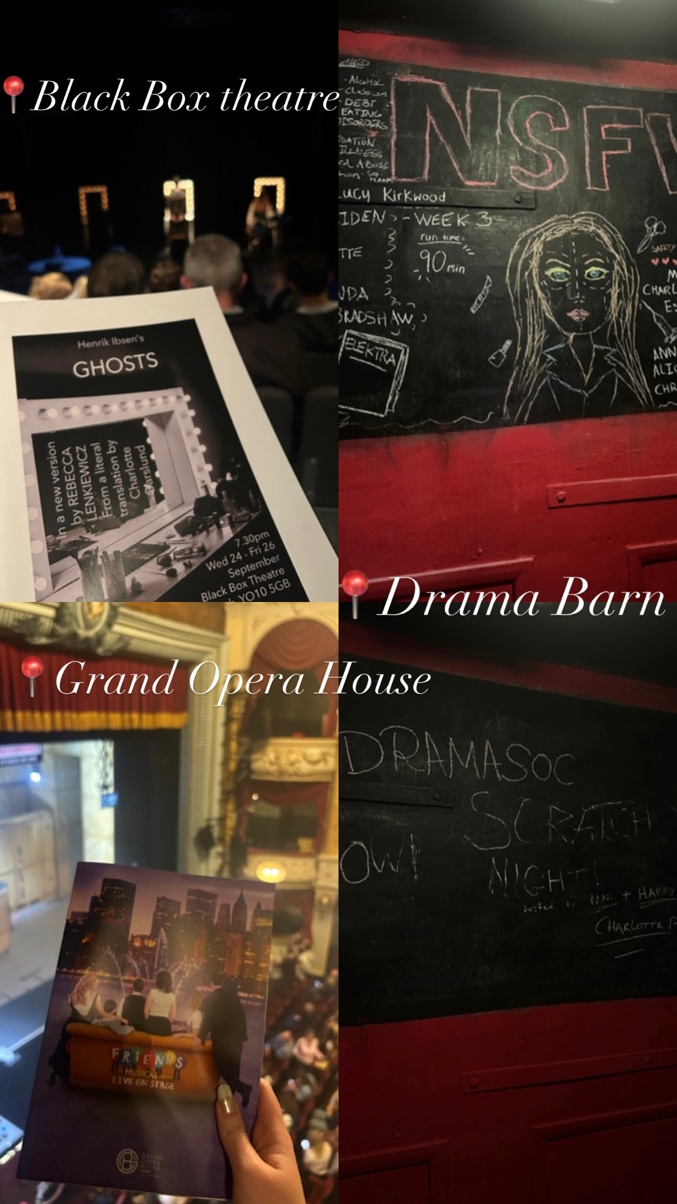 Theatre: Writing, Directing and Performance at York: my experience and ...